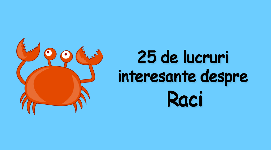 25 de lucruri interesante despre Raci – Wawlist
