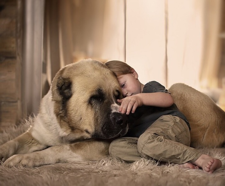 Știința confirmă-Persoanele care vorbesc cu animalele de companie sunt ...