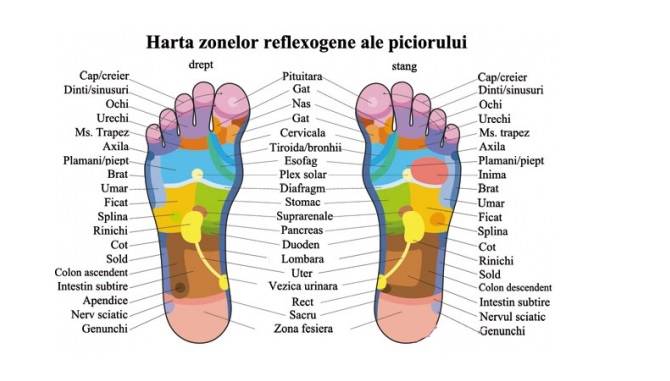 În medicina chineză ceapa și usturoiul aplicate pe talpa piciorului pot ...