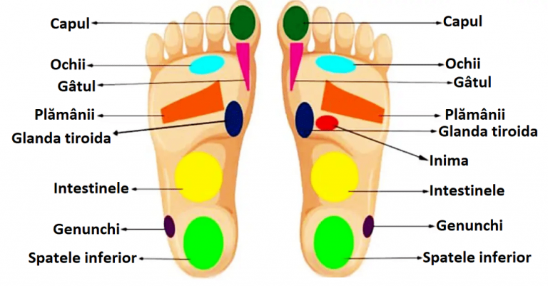 Picioarele sunt conectate la toate organele și fiecare durere poate fi ...