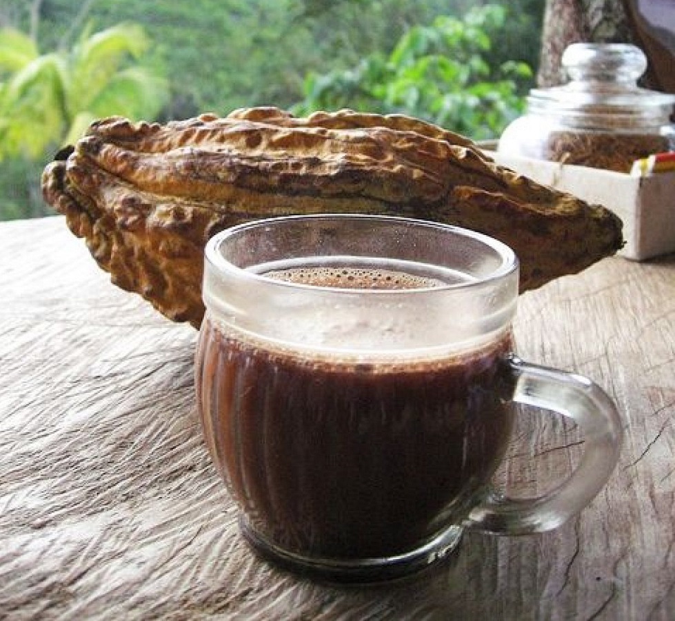 Apă călduță cu cacao – Este un remediu mai eficient decât medicamentele ...