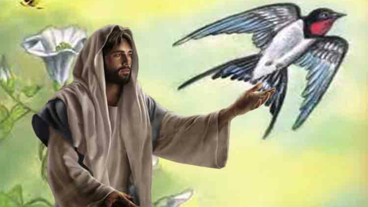 Rândunelele sunt un simbol al dragostei, prosperității și norocului ...