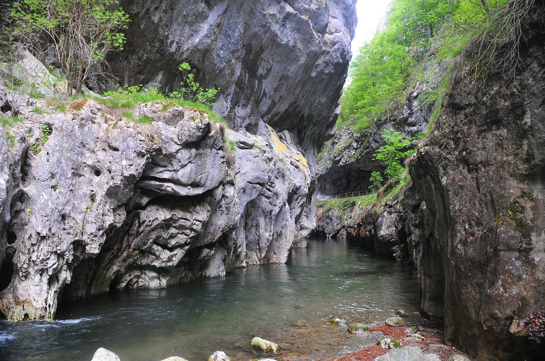 Peștera lui Adam, minunea naturală din Banat unică în țară, din care ...