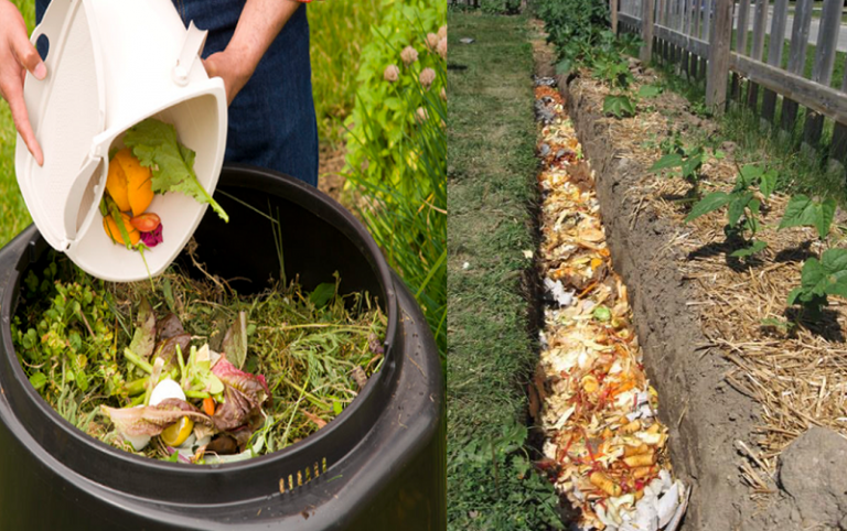 Cum să faci singur acasă compost din resturile de mâncare – de la ...