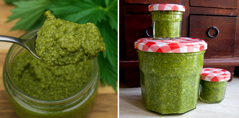 Pastă de urzici – Un puternic energizant natural (rețeta și cum se ...